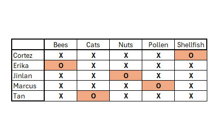 How to solve a grid-based logic problem - Double Helix